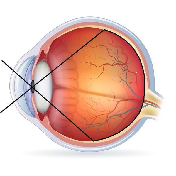 78D Lens | OICO | oico.co.uk