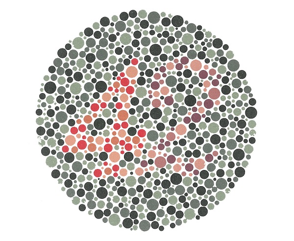 Ishihara 24 Plate | OICO | oico.co.uk