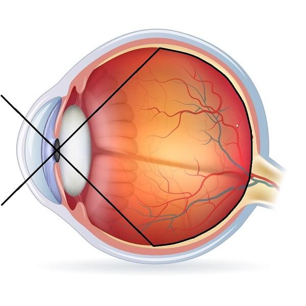 Superview diagnostic lens | OICO | oico.co.uk